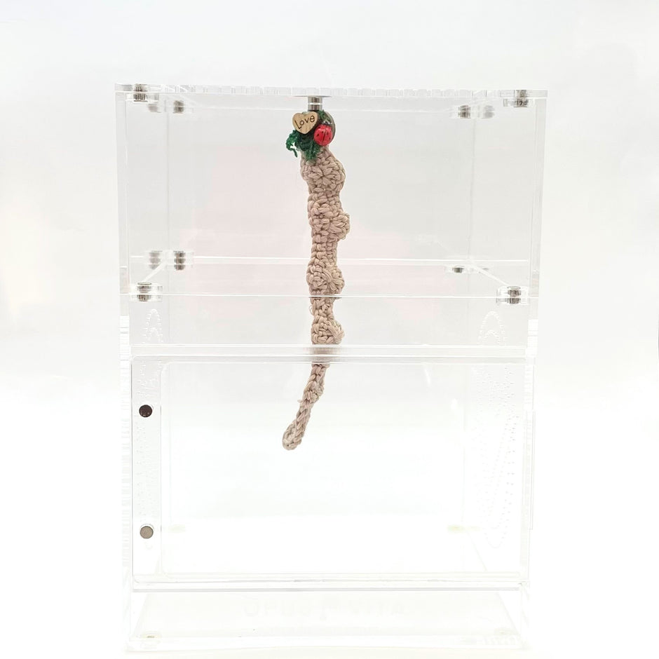 Jumping Spider Decorations | Premium Handmade CLimbing Decor | Opus Vita