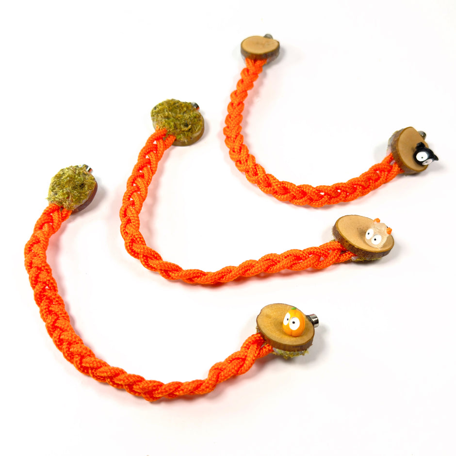 Jumping Spider Decorations | Premium Handmade CLimbing Decor | Opus Vita